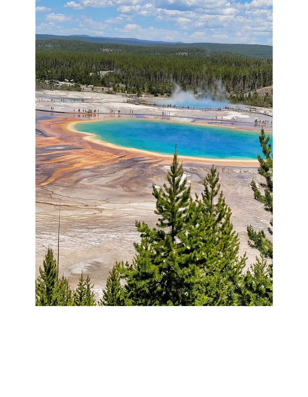 Yellowstone Sulphur Pool, Photo, Print, Yellowstone National Park ...