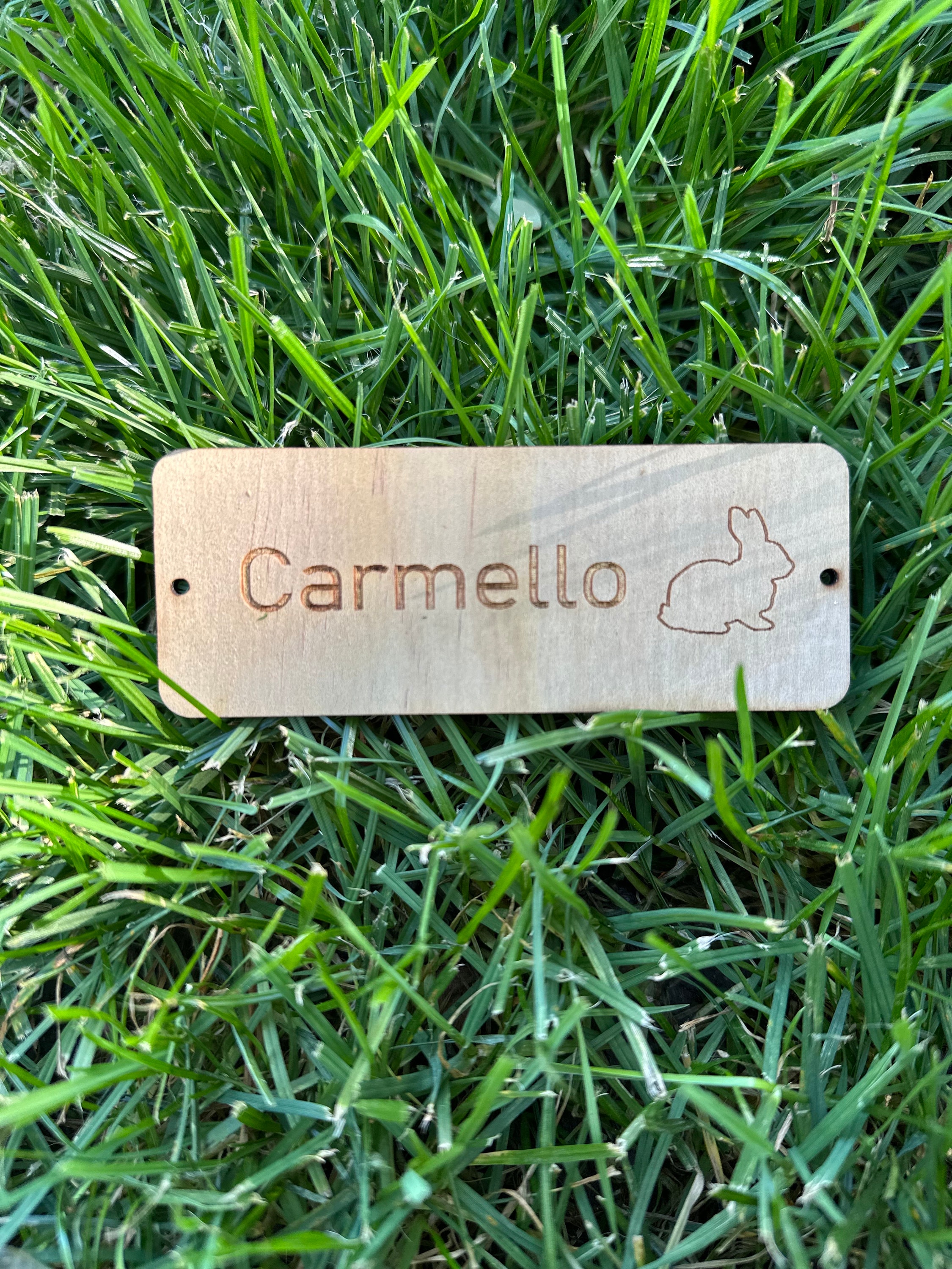 Rabbit Cage Tags - Etsy