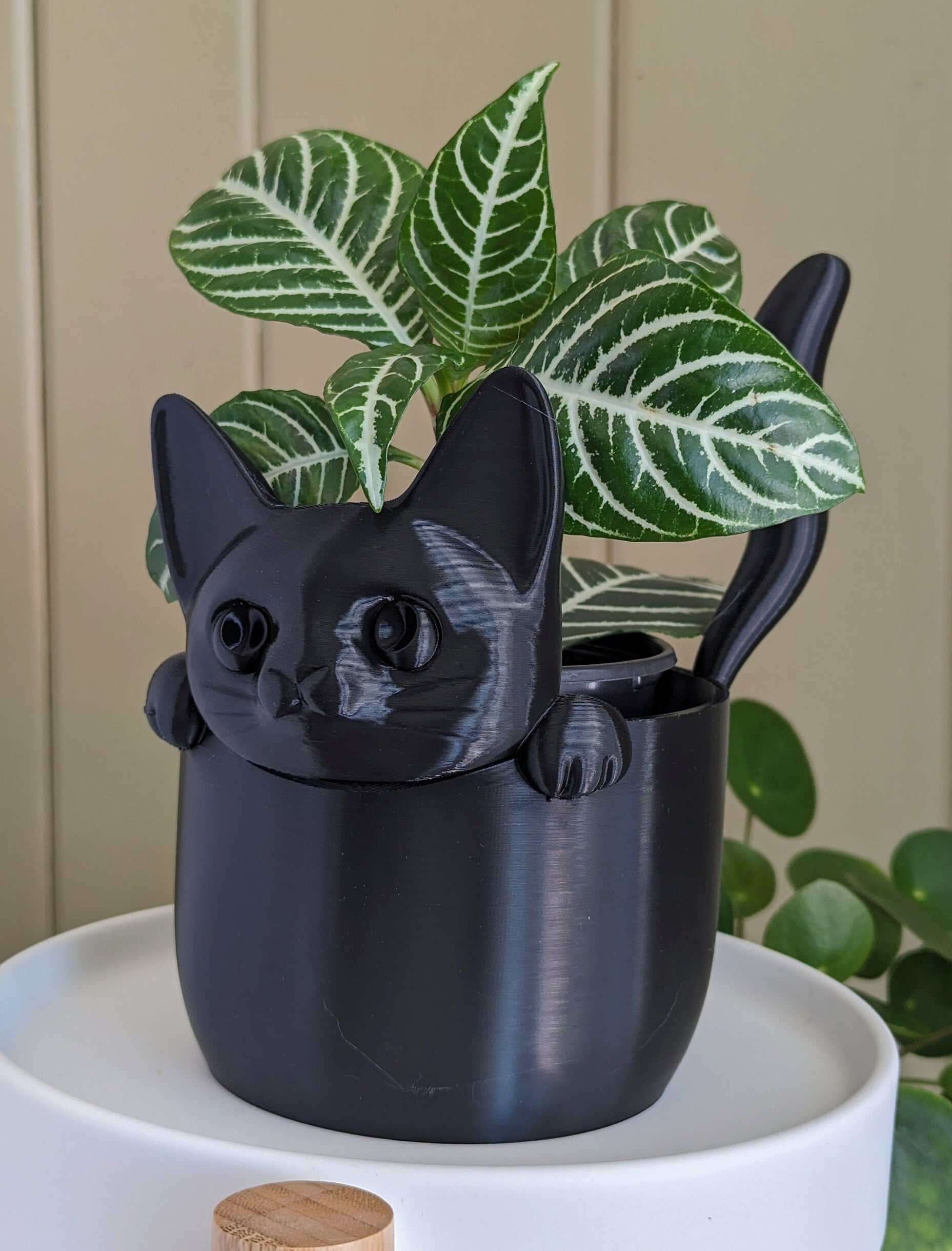 Cute 3D Printed Cat Planter Succulent Pot Gift for Cat Lovers Gift for ...