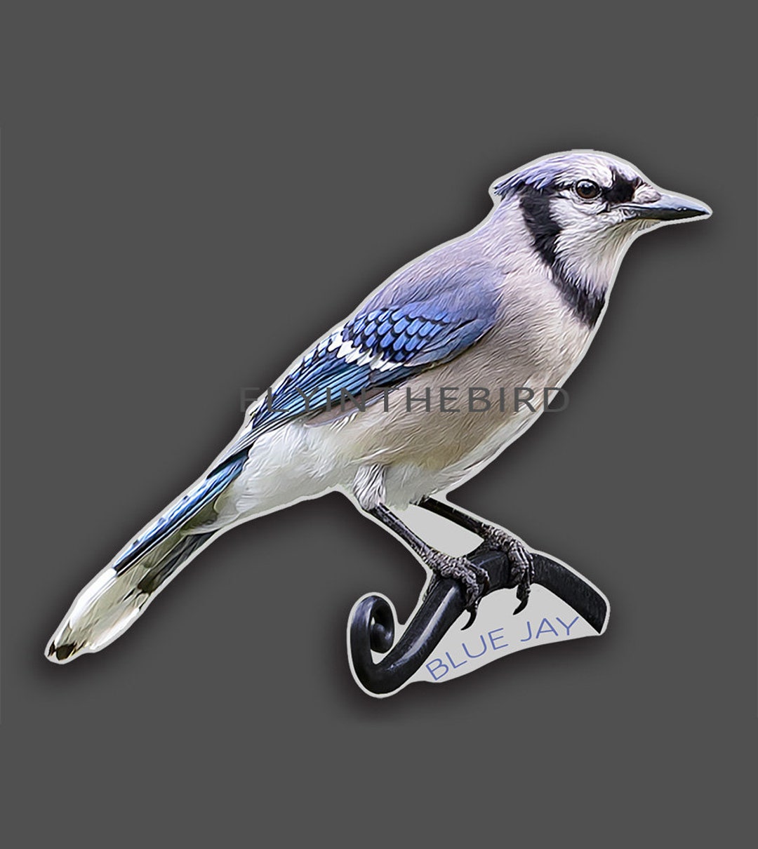 Blue Jay Waterproof Sticker - Native, America, Bird, Wildlife, Laptop ...