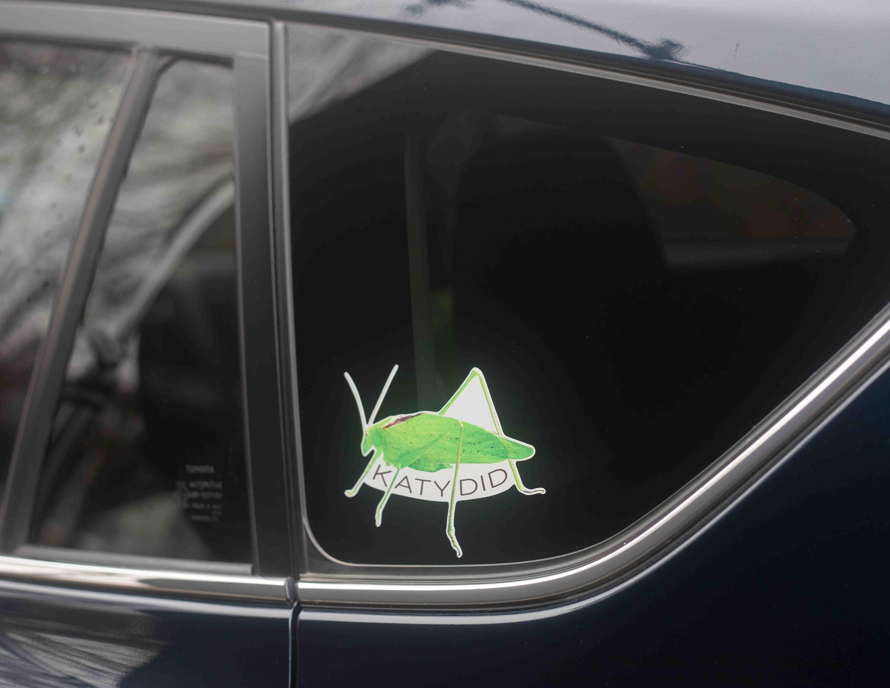 Katydid Waterproof Sticker Native, America, Insect, Orthoptera ...