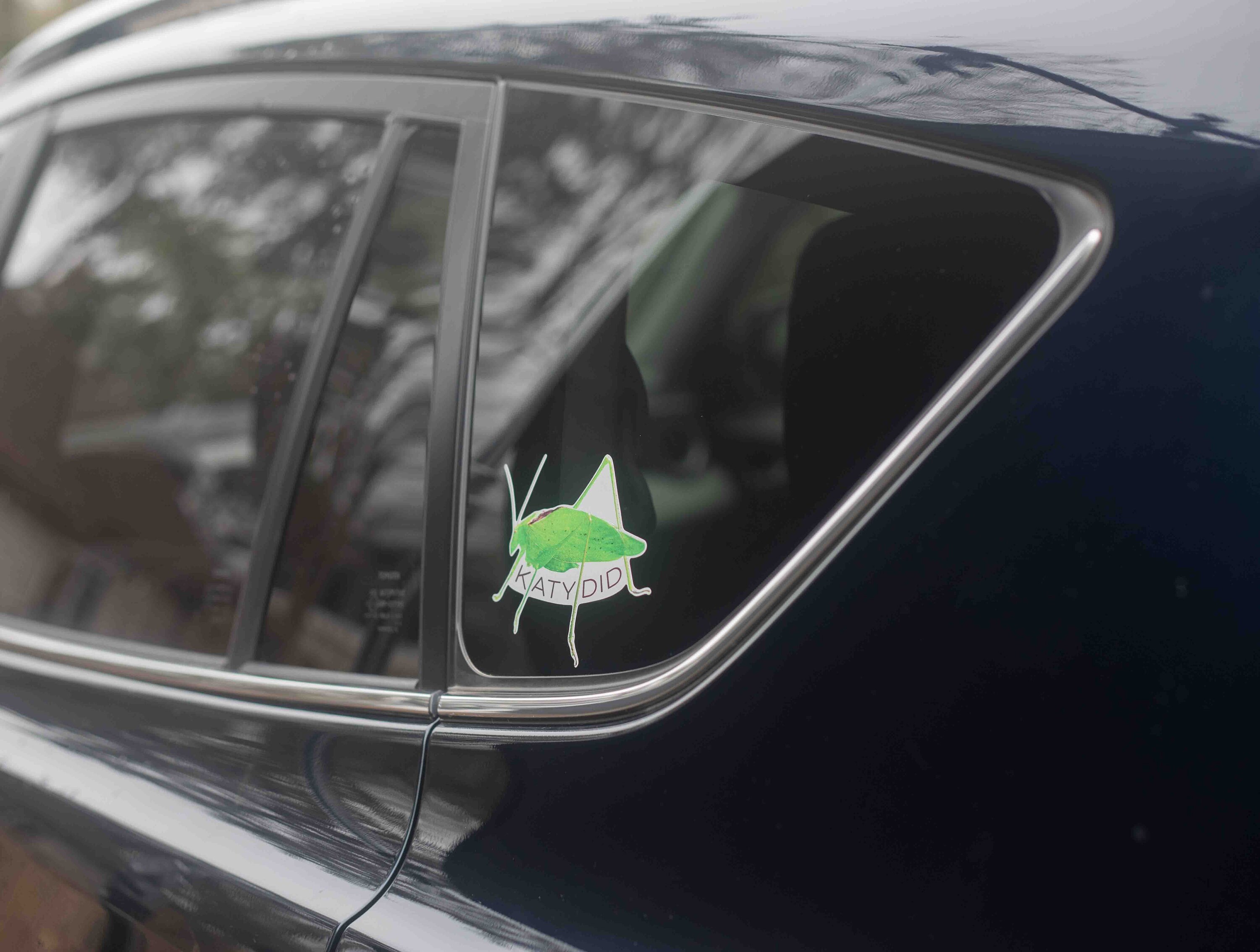 Katydid Waterproof Sticker Native, America, Insect, Orthoptera ...