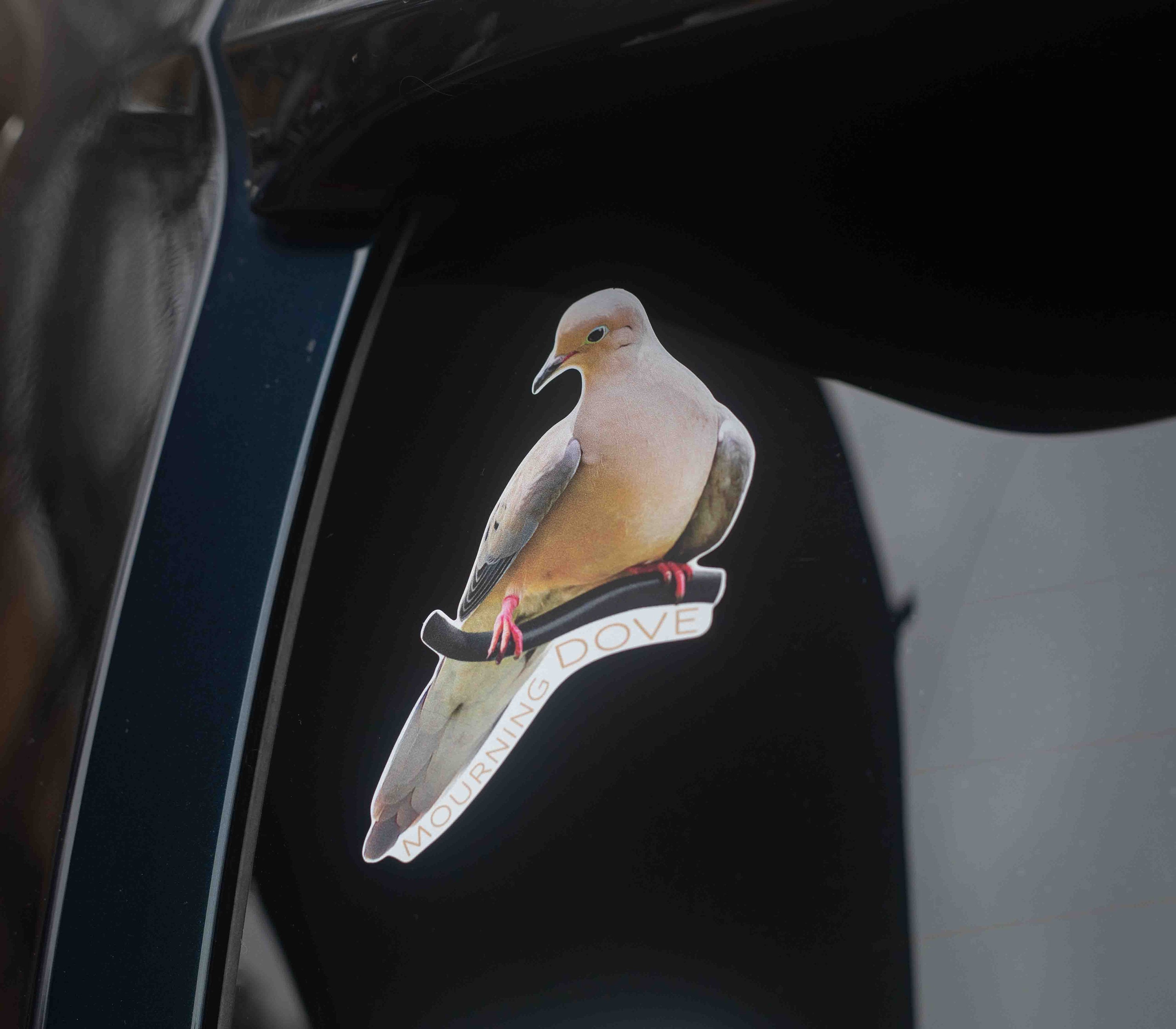 Dove Waterproof Sticker - Mourning, Native, America, Bird, Wildlife ...
