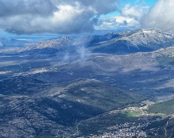 Frantic Flight - Etsy