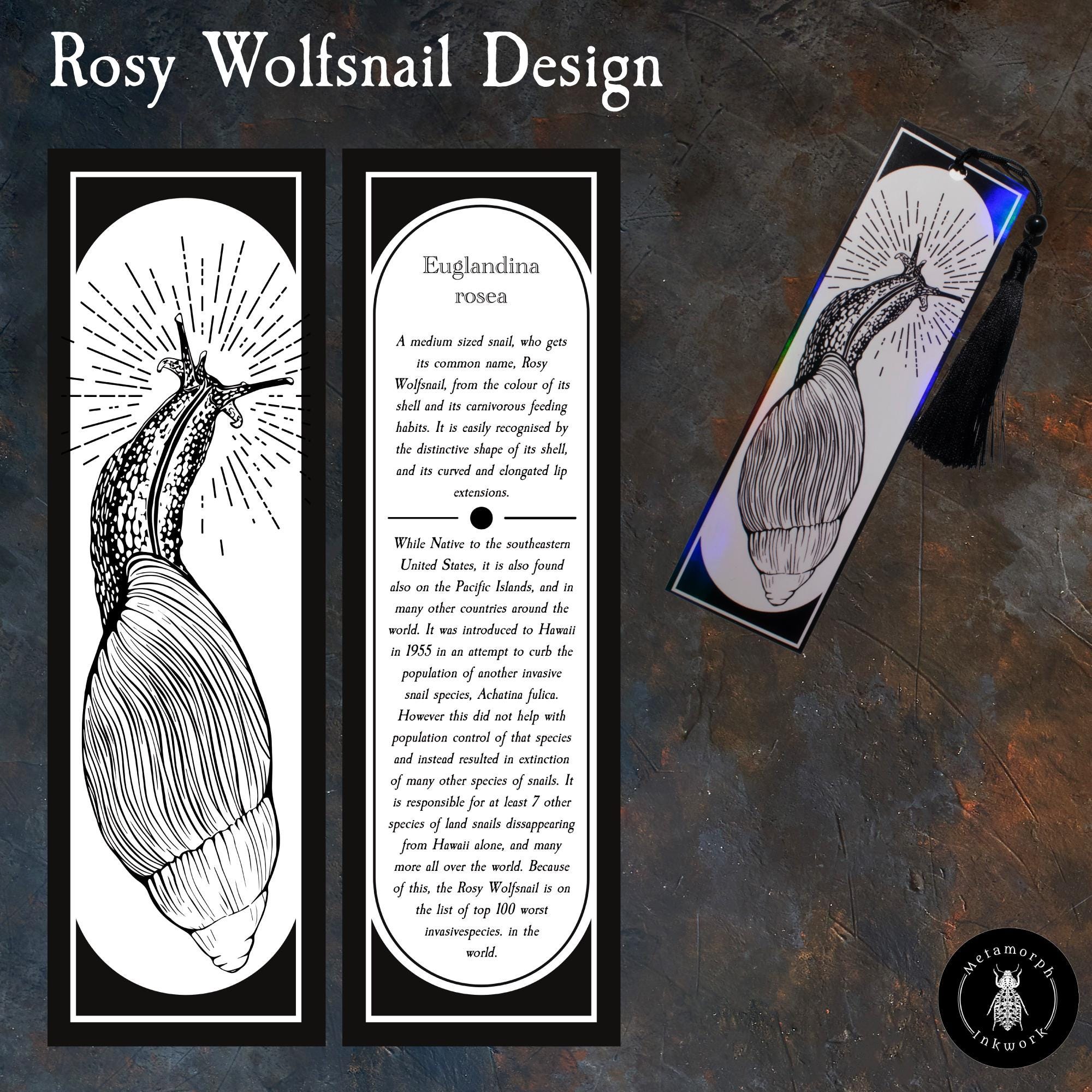 Holo Bug Bookmarks Cicada, Butterflies, Snail, Beetle - Etsy