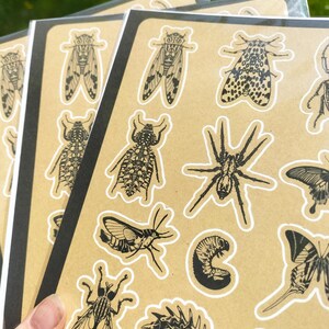 Insect Sticker Sheet on Kraft Paper | Easy Peel Bug Stickers ...