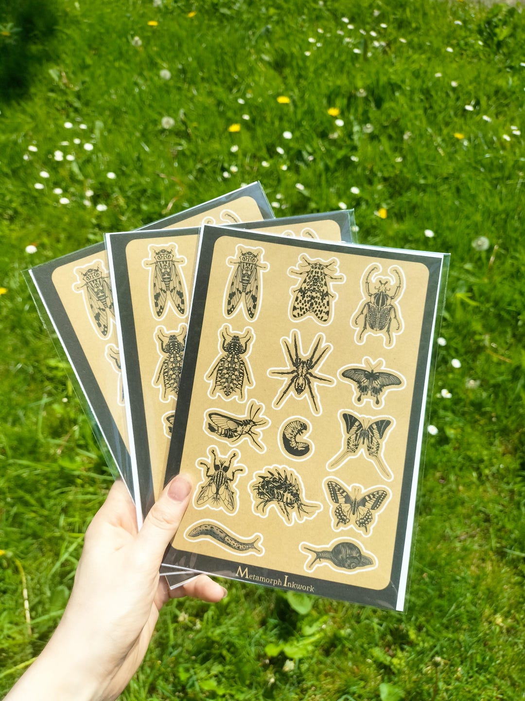 Insect Sticker Sheet on Kraft Paper | Easy Peel Bug Stickers ...