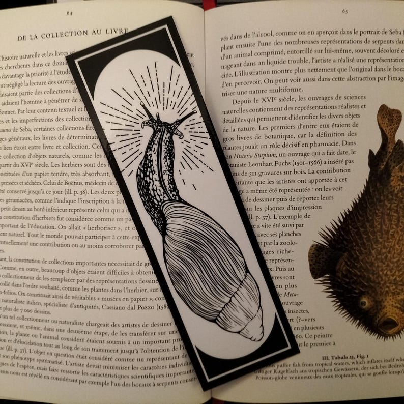 Bug Bookmarks Cicada, Butterflies, Snail, Beetle Entomology Natural ...