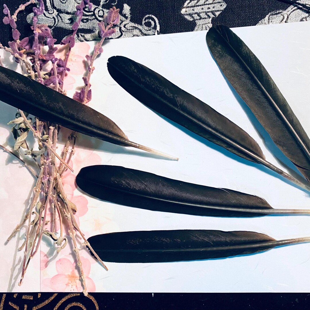 Natural Crow Feathers, High Quality Tail Glossy Feather, No ...