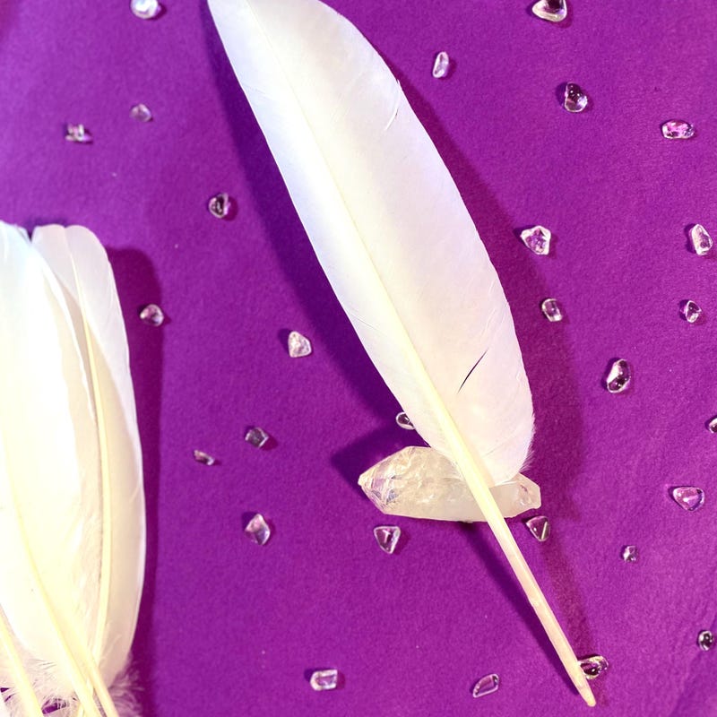 Swan Feathers - Etsy