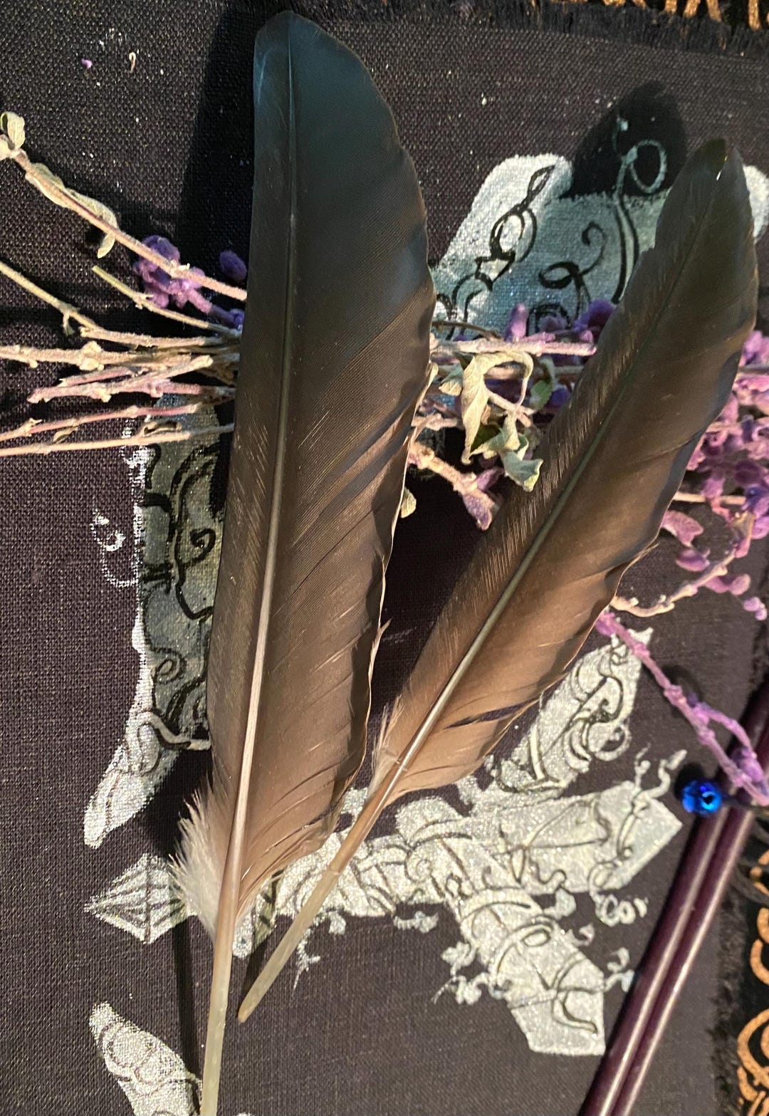 Natural Crow Long Feathers. Japanese Juvenile Crow “karasu”. Raven ...