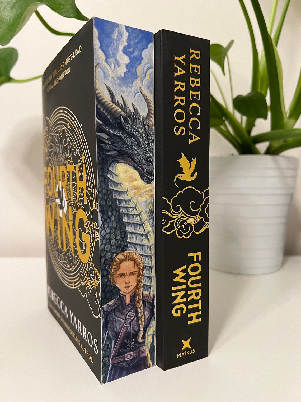 Pre-order Fourth Wing or Iron Flame Bookmark Fore Edge Painting Custom ...