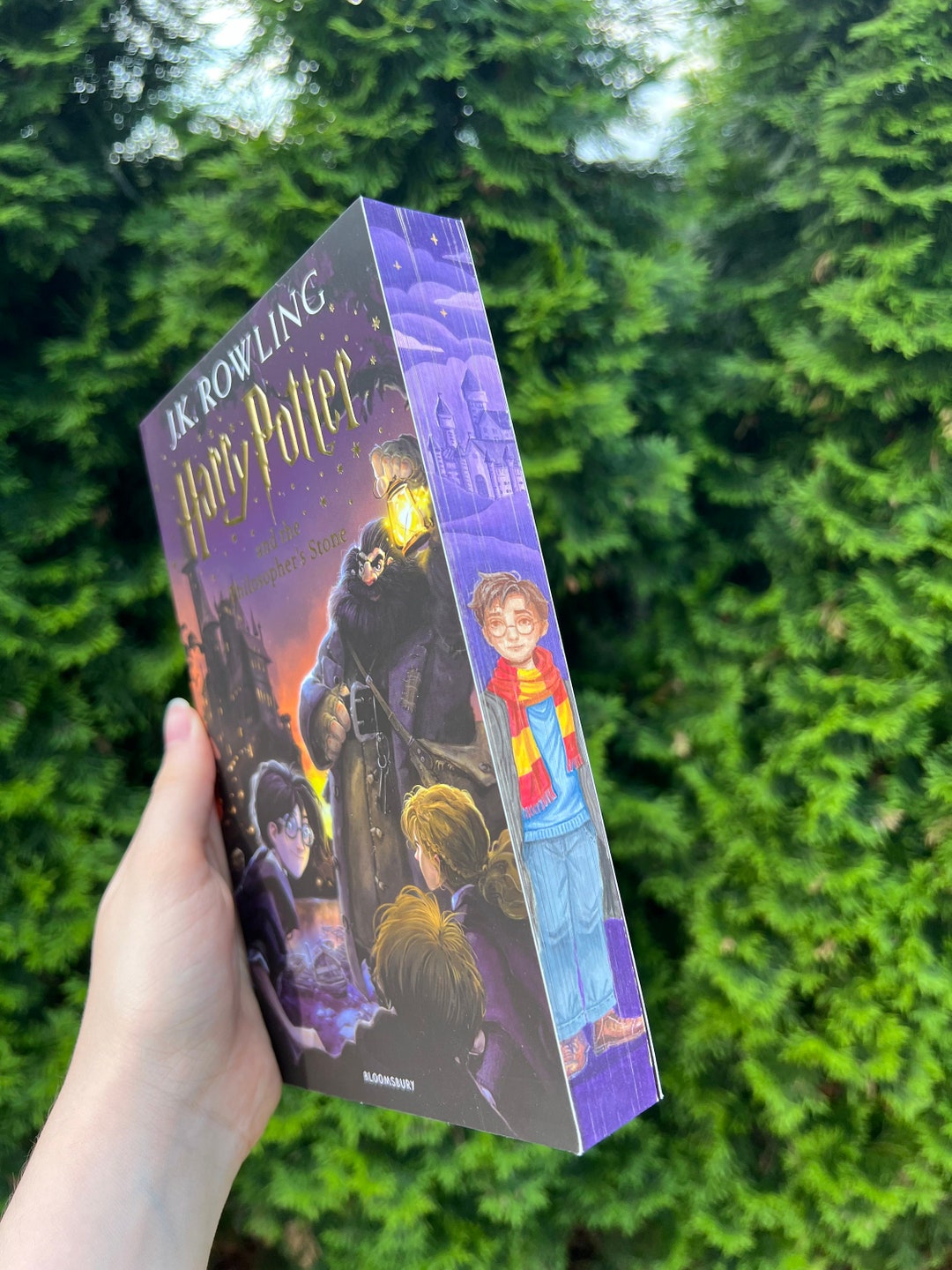 Fore-edge Painting Harry Potter and the Philosopher's Stone HP Wizard ...