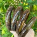 Natural Nvwa Stone Jade Bangle ! Inner Diameter 63-65mm - Etsy