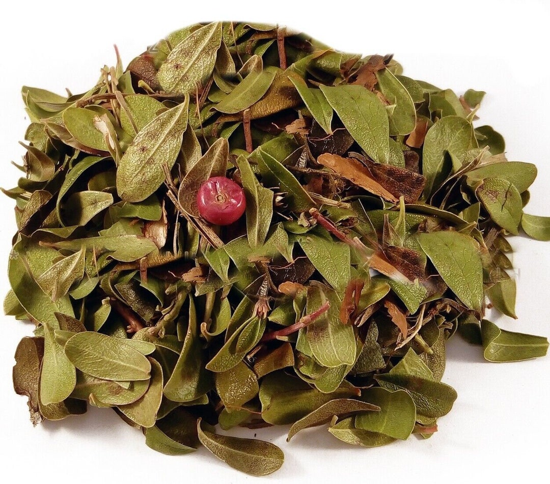 Arctostaphylos Leaf Herb Tea, Uvae Ursi, Bearberry - Etsy
