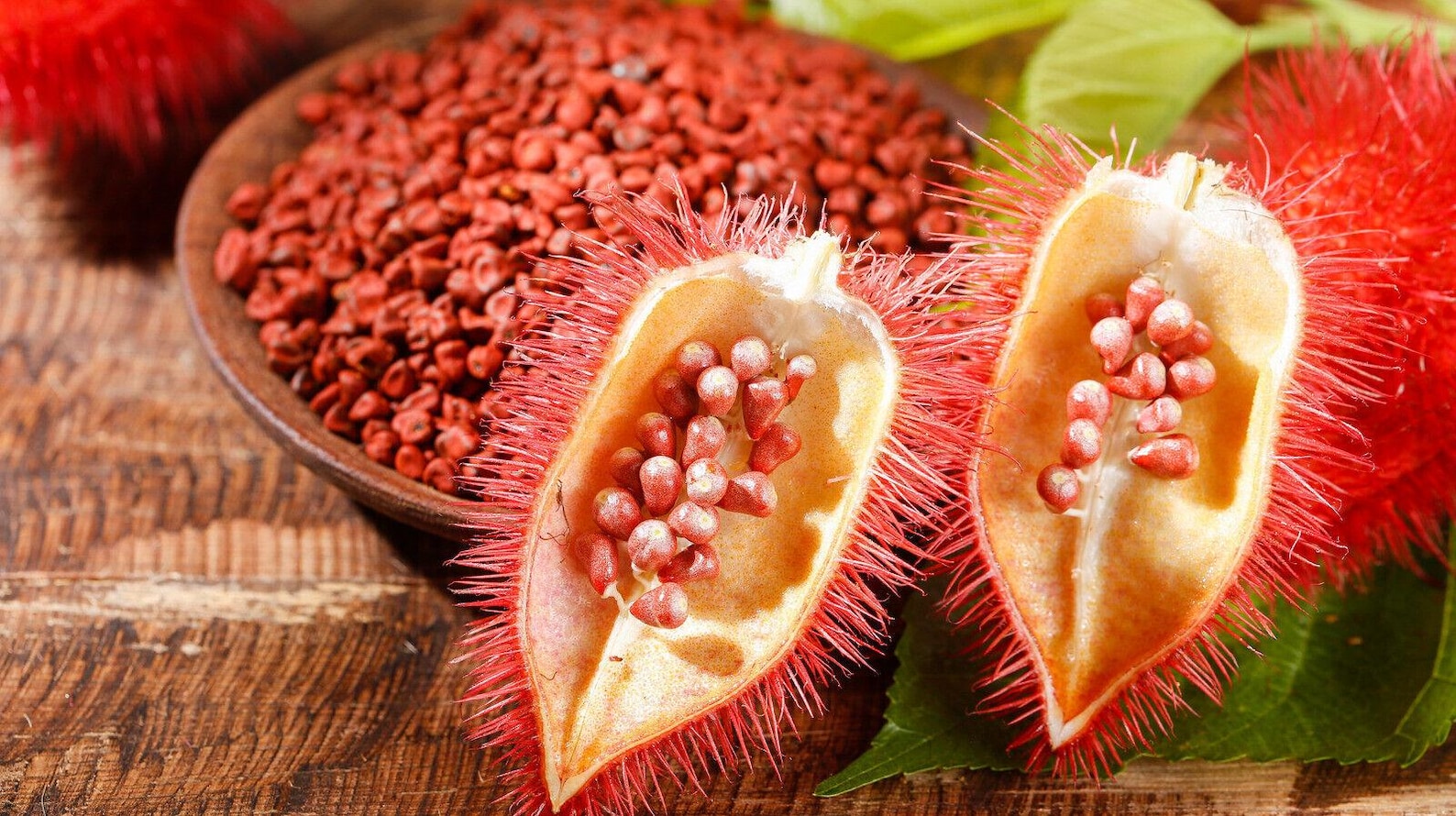 Annatto Seed Powder Herb Tea , Achiote, Annatto - Etsy