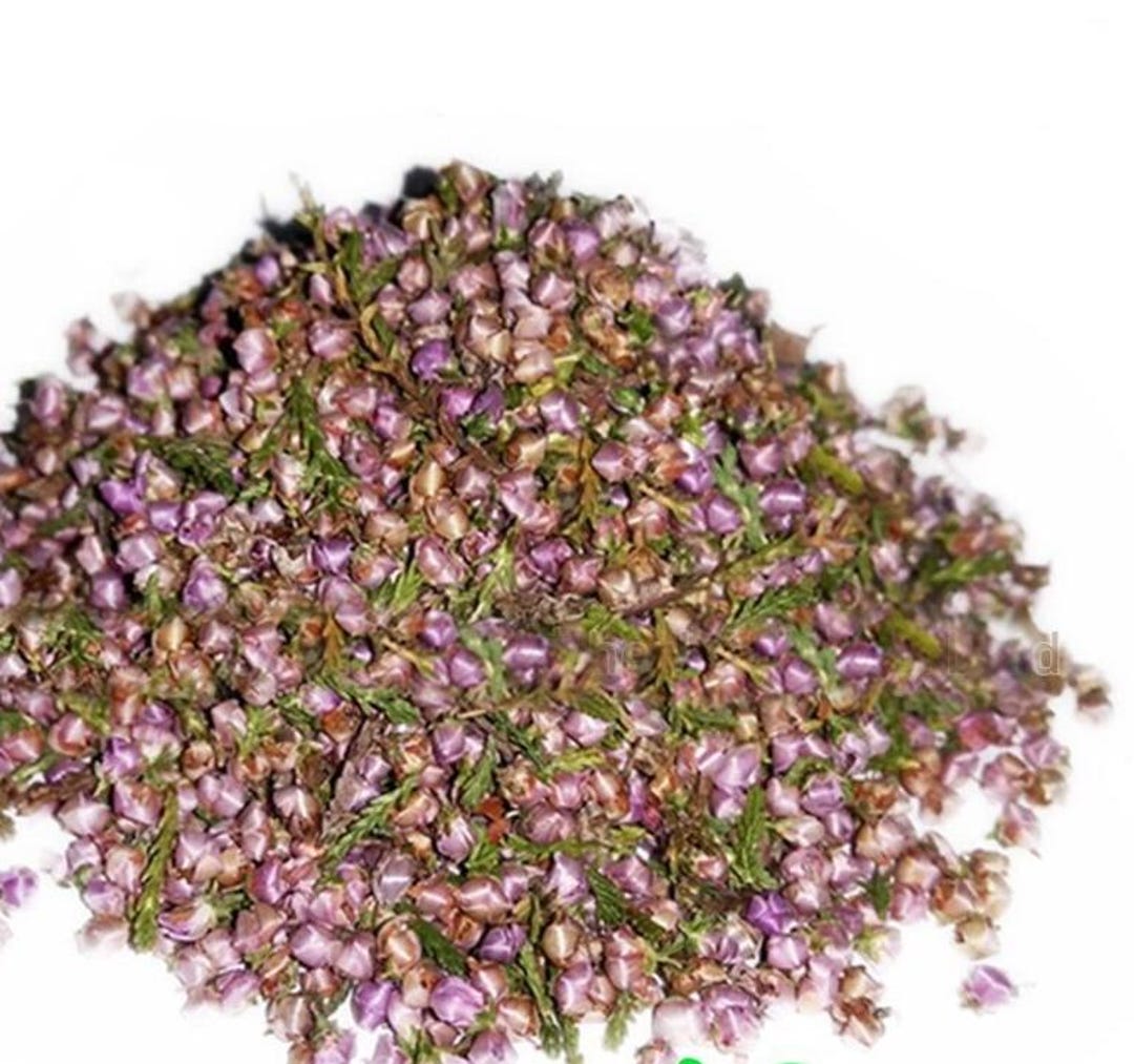 Calluna Flower and Stem Herbal Tea, Calluna Vulgaris - Etsy