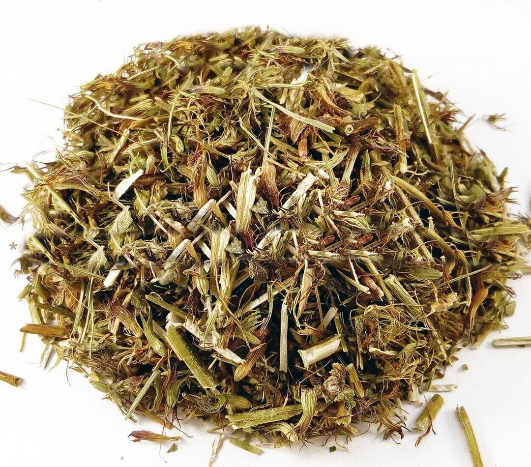 Chicory Stalk Herbal Tea Blue Bile, Cichorium Intybus - Etsy