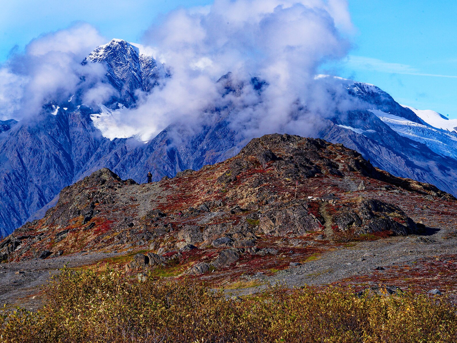 Late Fall Color of Alaska, Glacier, Tundra and Other Lichens, Low ...
