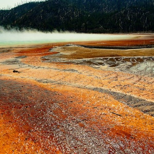 Yellowstone, Unique Hydrothermal and Geological Features, National Park ...