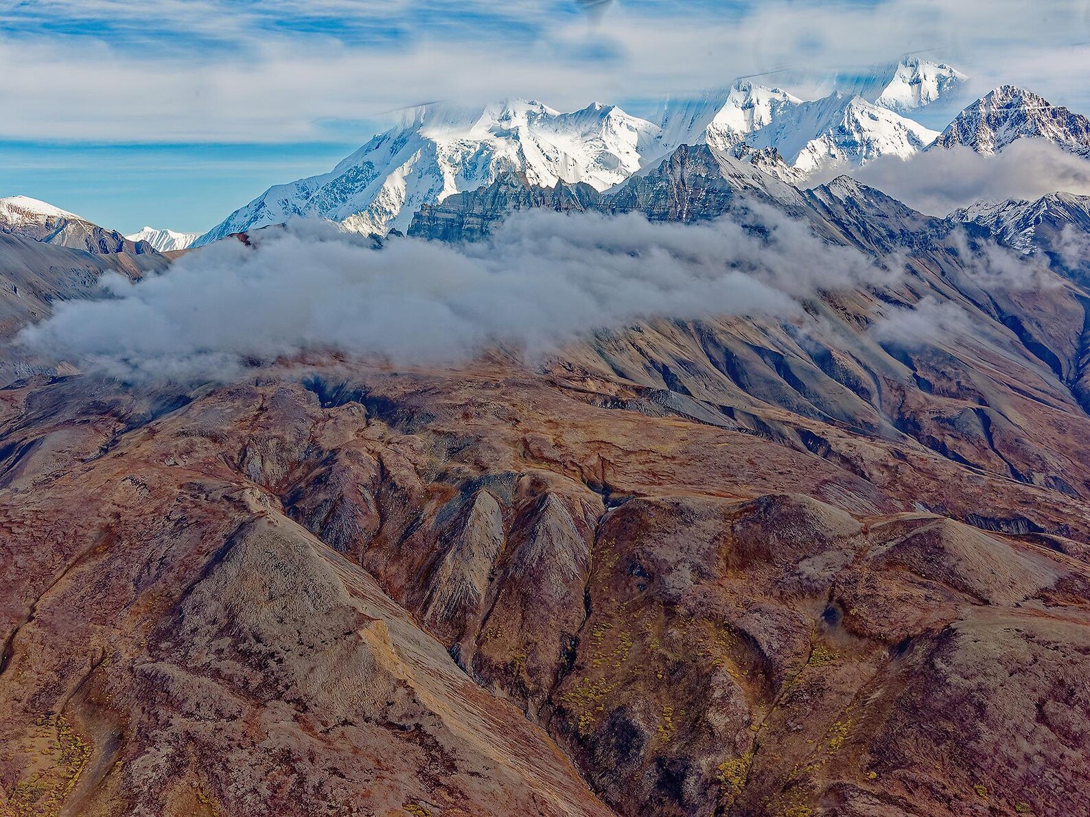 Late Fall Color of Alaska, Glacier, Tundra and Other Lichens, Low ...