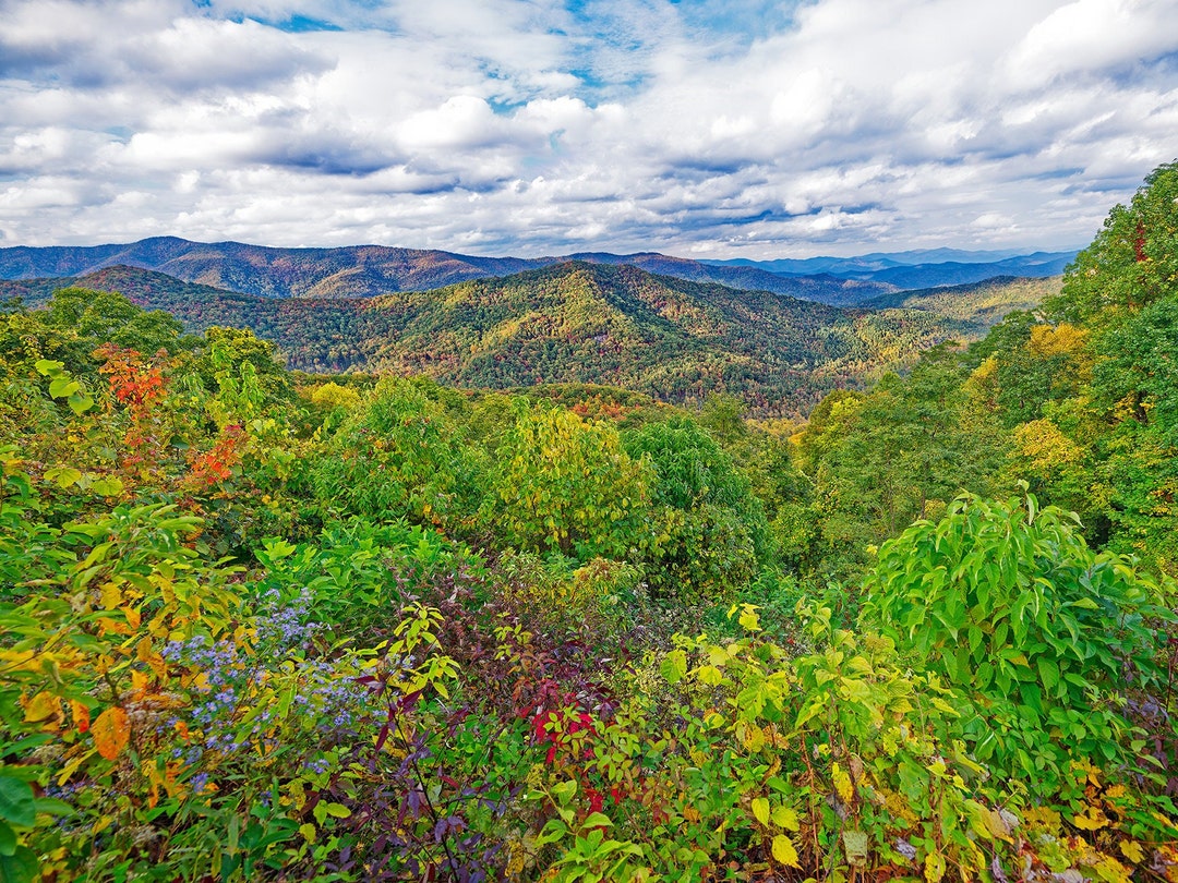 Vibrant Fall Colors Paint a Hillside in Great Smoky Mountains#b008 ...