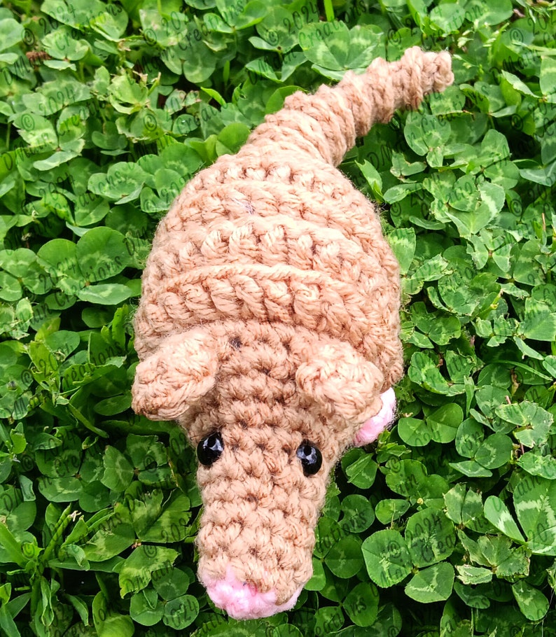 Annie the Armadillo Crochet Pattern: No Sew PDF (worsted Weight Yarn ...
