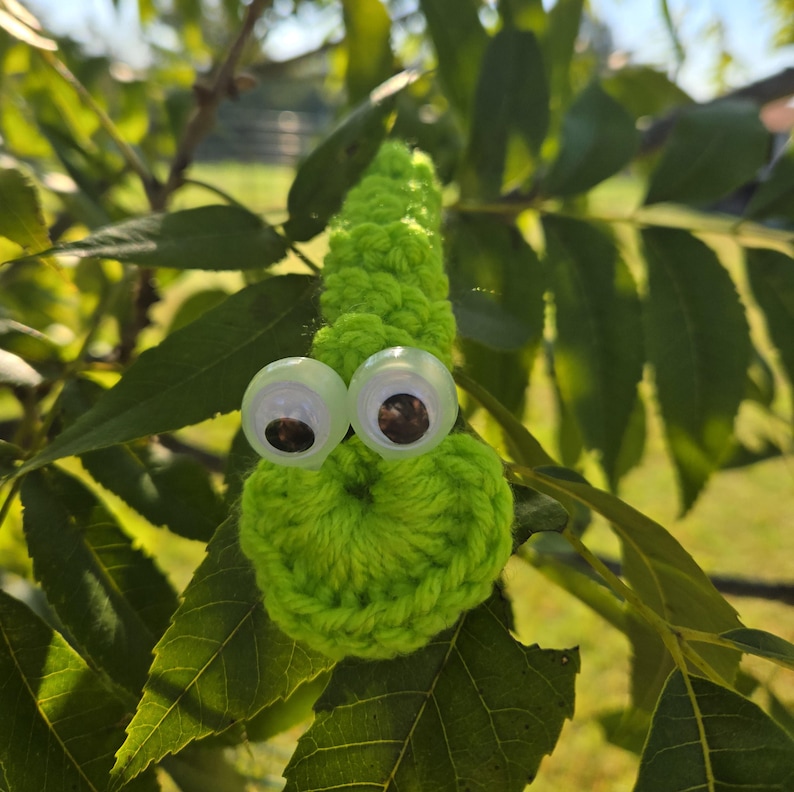 Googly Eye Crochet Worry Worm Pattern: Beginner Friendly (PDF Download ...