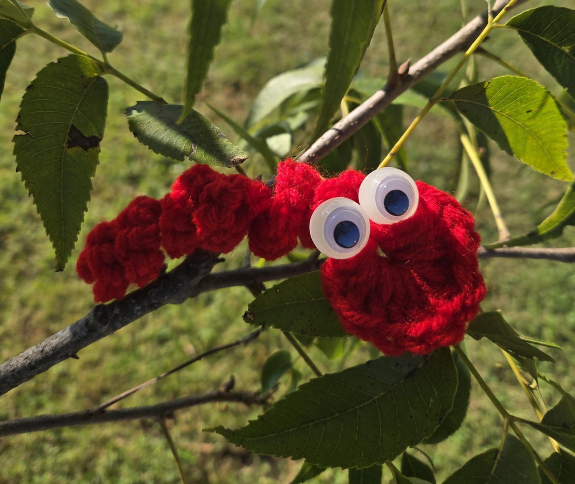 Googly Eye Crochet Worry Worm Pattern: Beginner Friendly (PDF Download ...
