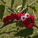 Googly Eye Crochet Worry Worm Pattern: Beginner Friendly (PDF Download ...
