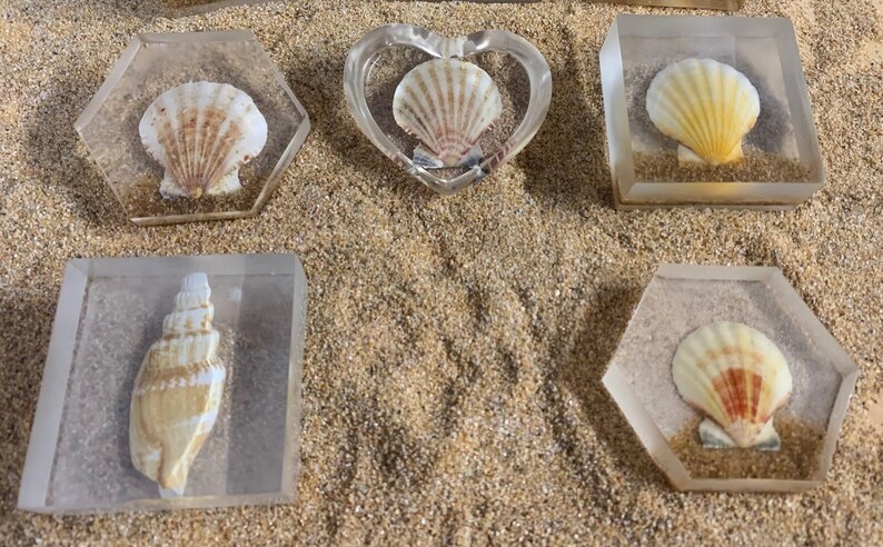 Seashell Resin Art Home Decor / Handmade Beach Decor / Coastal Seashell ...