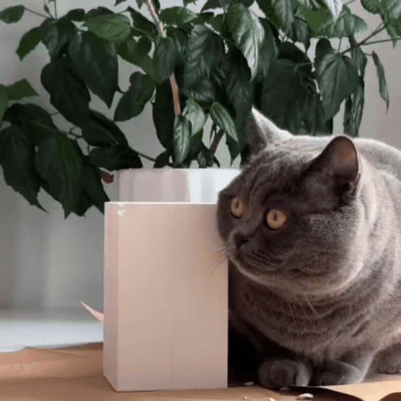 Venus De Milo Sculpture Kit DIY Ancient Statue Carving and Whittling ...