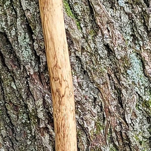 Handmade Hiking Stick - Etsy