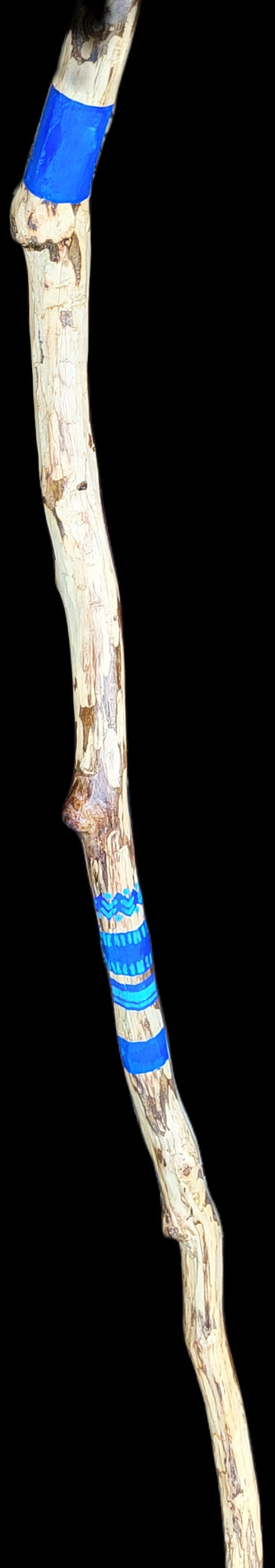 Handmade Hiking Stick - Etsy