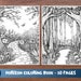 50 Enchanted Forest Coloring Book, Adults Coloring Book, Printable PDF ...