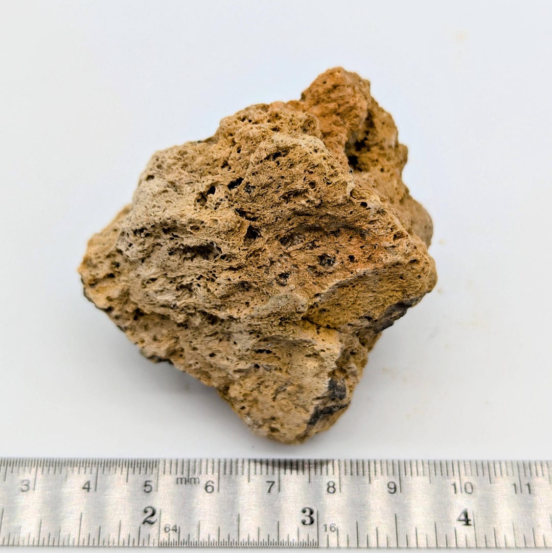 Mount Mazama Pumice (oregon) - Etsy