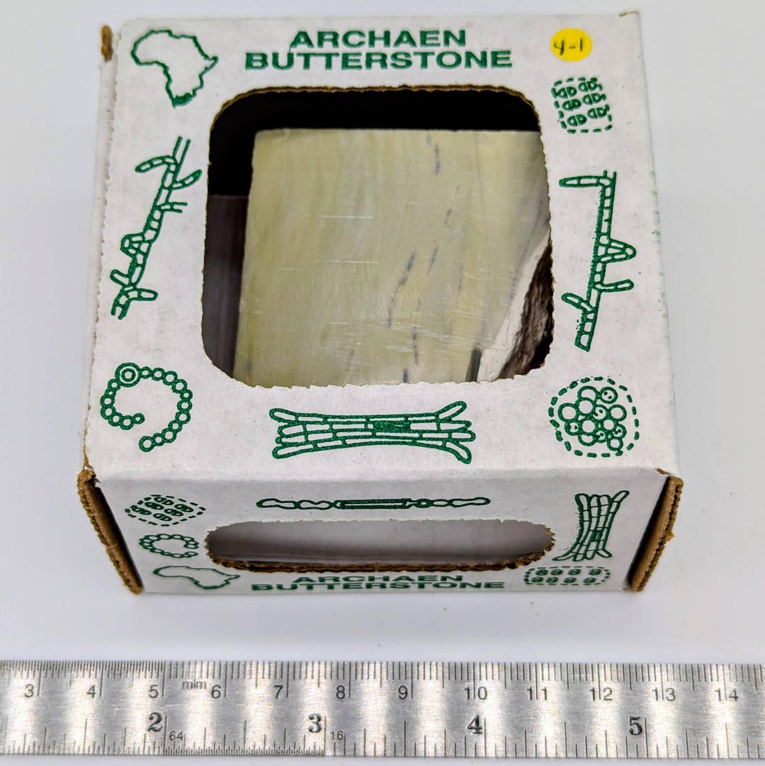 Archean Butterstone - From the Greenstone Belt in South Africa (a Very ...