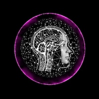 Python in Excel Course Bundle: Data Analysis Video + MASSIVE Python Programming Ebooks 2025 ...