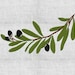 Wispy Olive Branch Embroidery Design Kitchen Embroidery DESIGN FILE ...