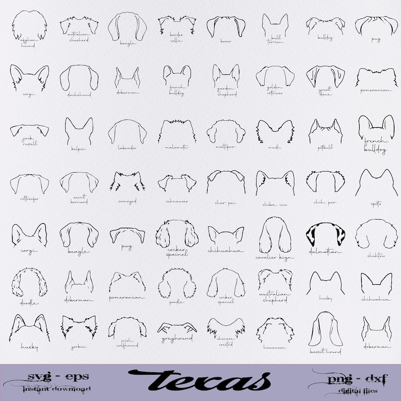 Dog Breed Ears SVG | Hand Drawn | Dog Ears Outline Bundle | Svg Clipart ...