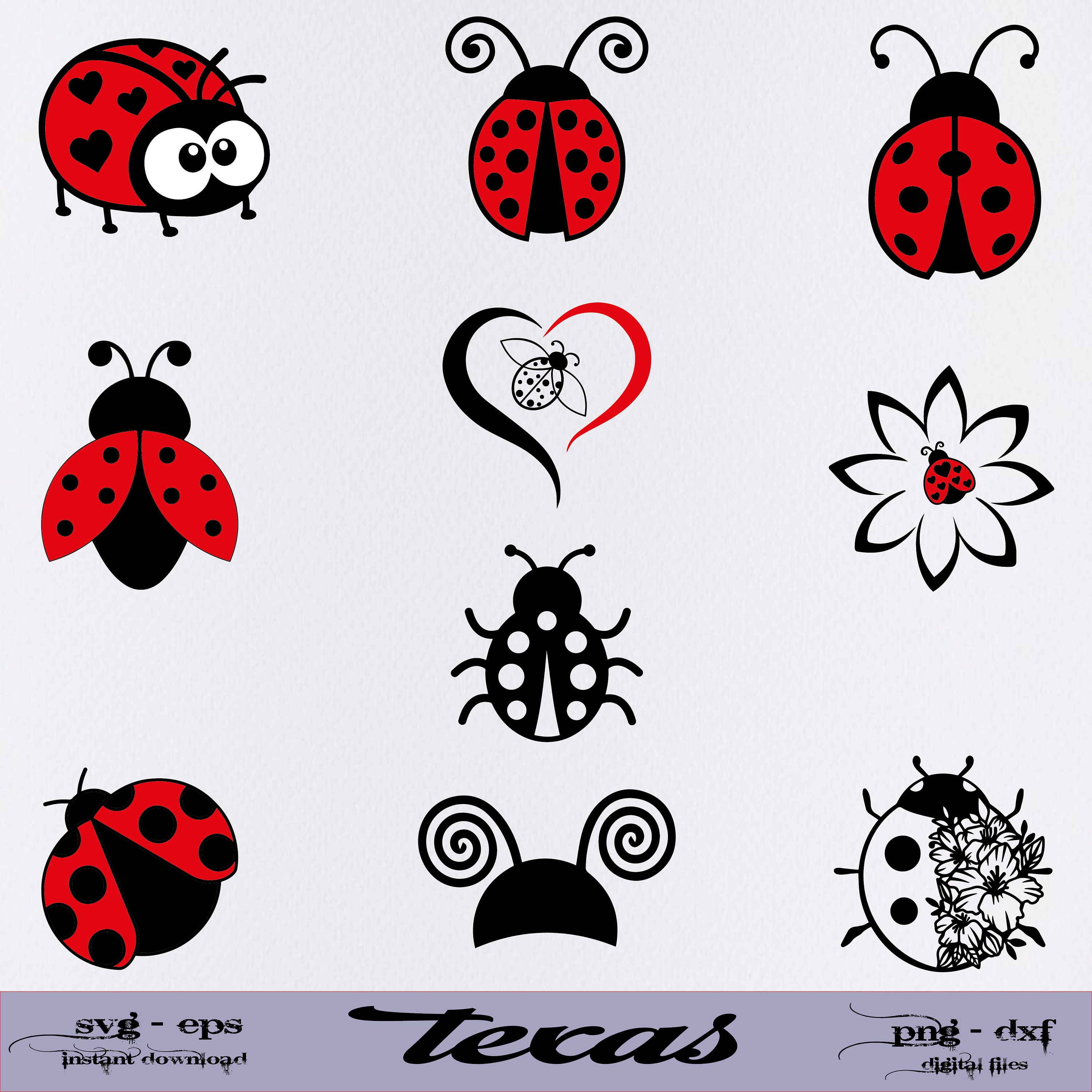 Ladybug SVG | Ladybug Bundle SVG Files | Ladybug SVG Layered | Ladybug ...