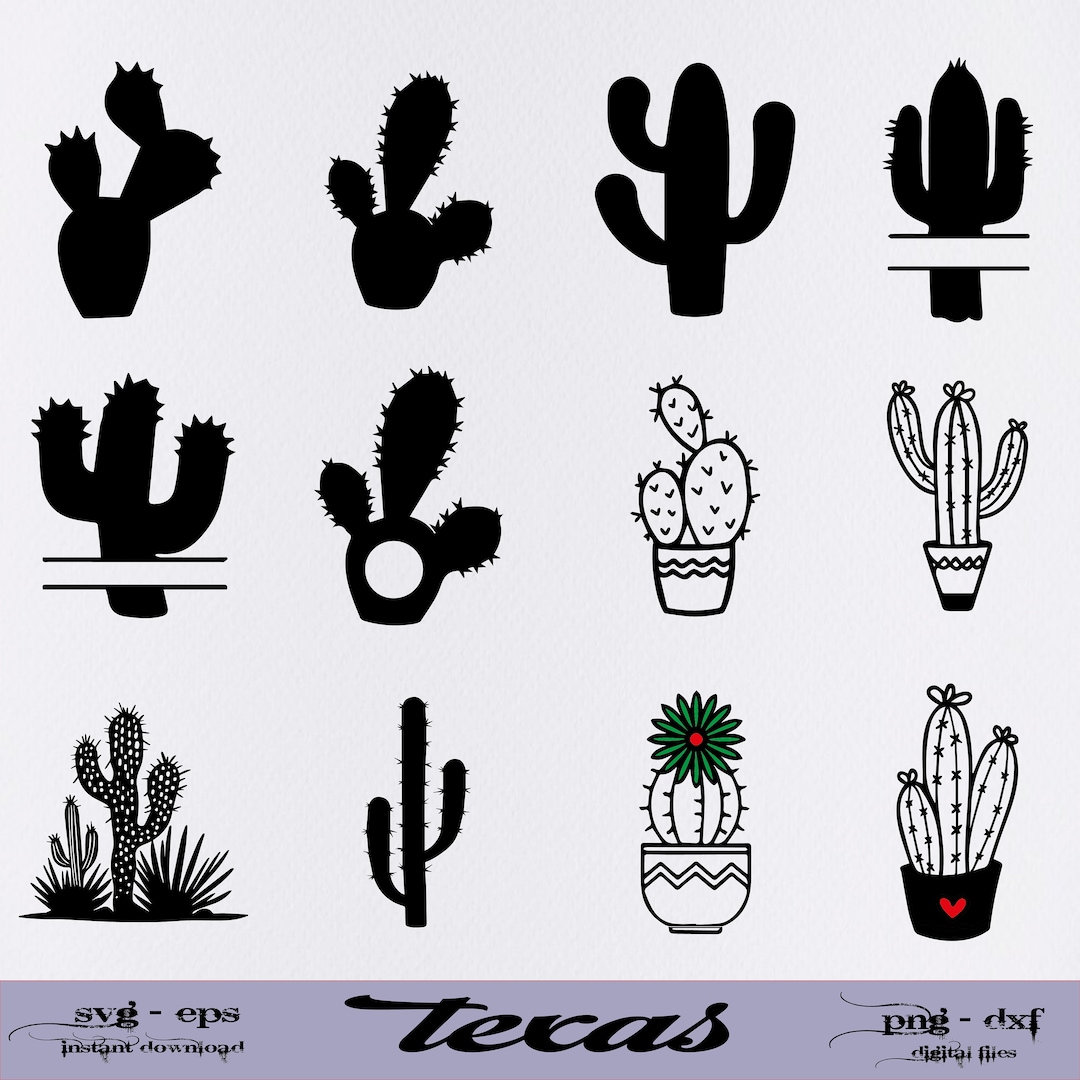 Cactus SVG Bundle - Cacti PNG Bundle - Silhouette Cactus - Cricut ...