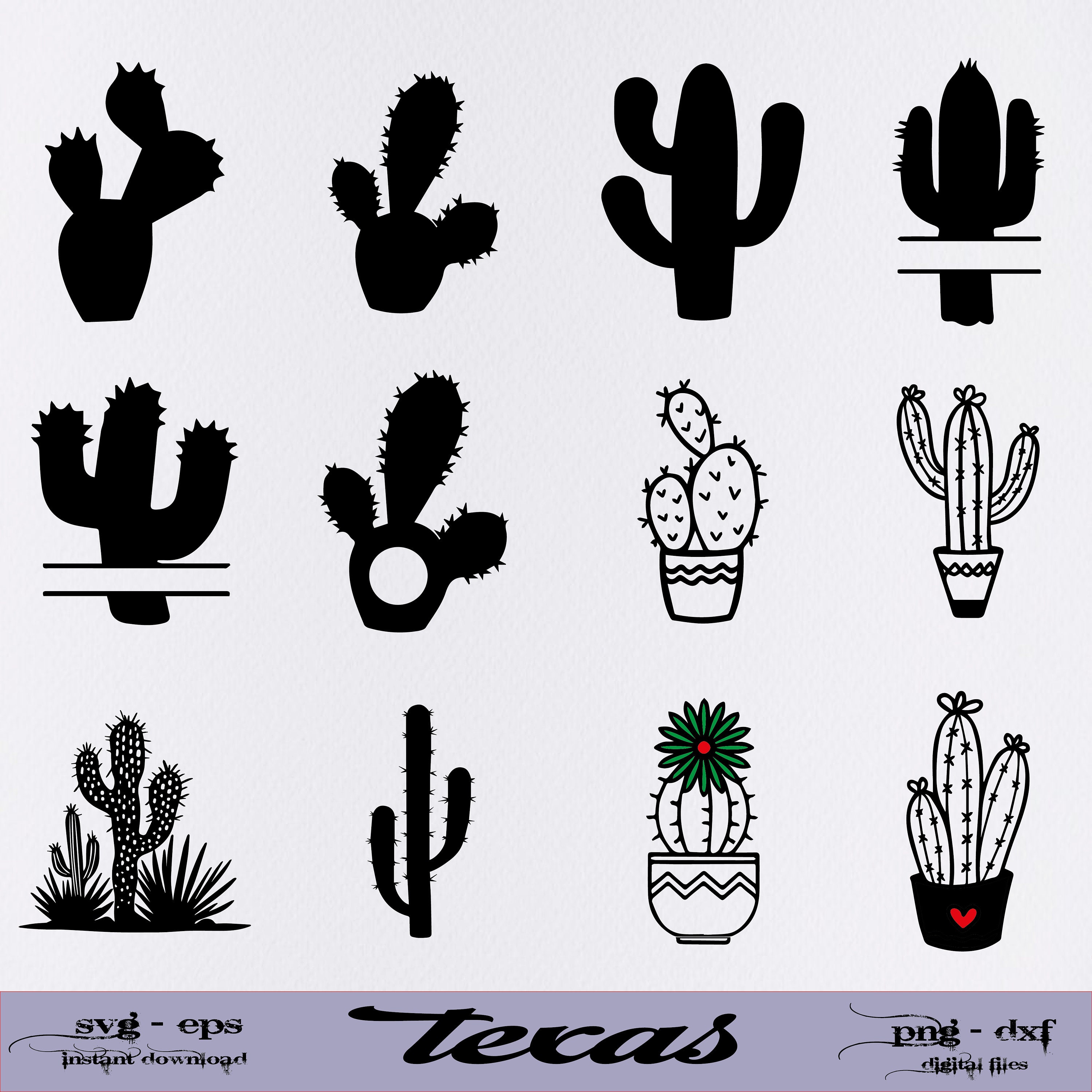 Cactus SVG Bundle Cacti PNG Bundle Silhouette Cactus Cricut Cutting ...