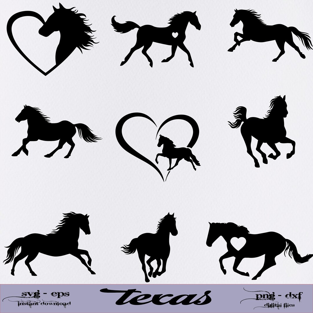 Horse Svg Bundle, Horse Design Svg, Cute Horse Svg, Horse Shirt Svg ...