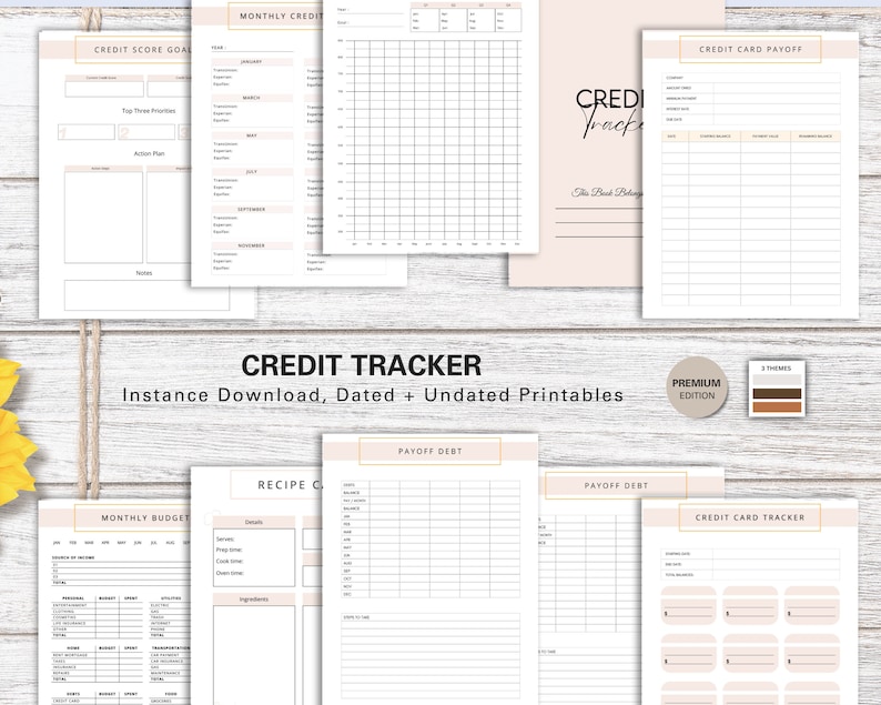 Credit Score Tracker Journal, Expense Organizer, Budgeting Planner ...