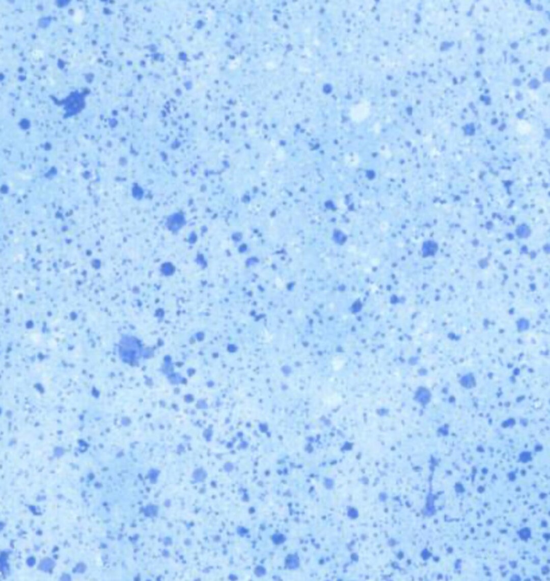 Light Blue Spatter, Wilmington Fabrics, Quilters Cotton, Yardage - Etsy