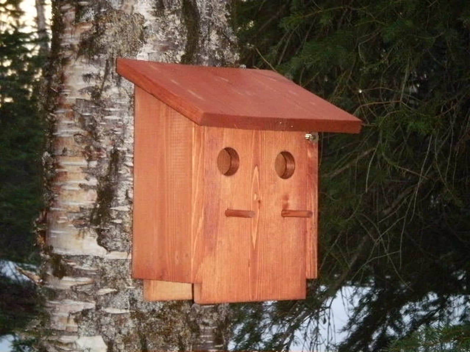 Two Unit Birdhouse Plans, Birdhouse Plans, DIY Birdhouse, Birdhouse ...