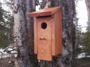Super Easy Cedar Birdhouse Build Plans download - Etsy Canada