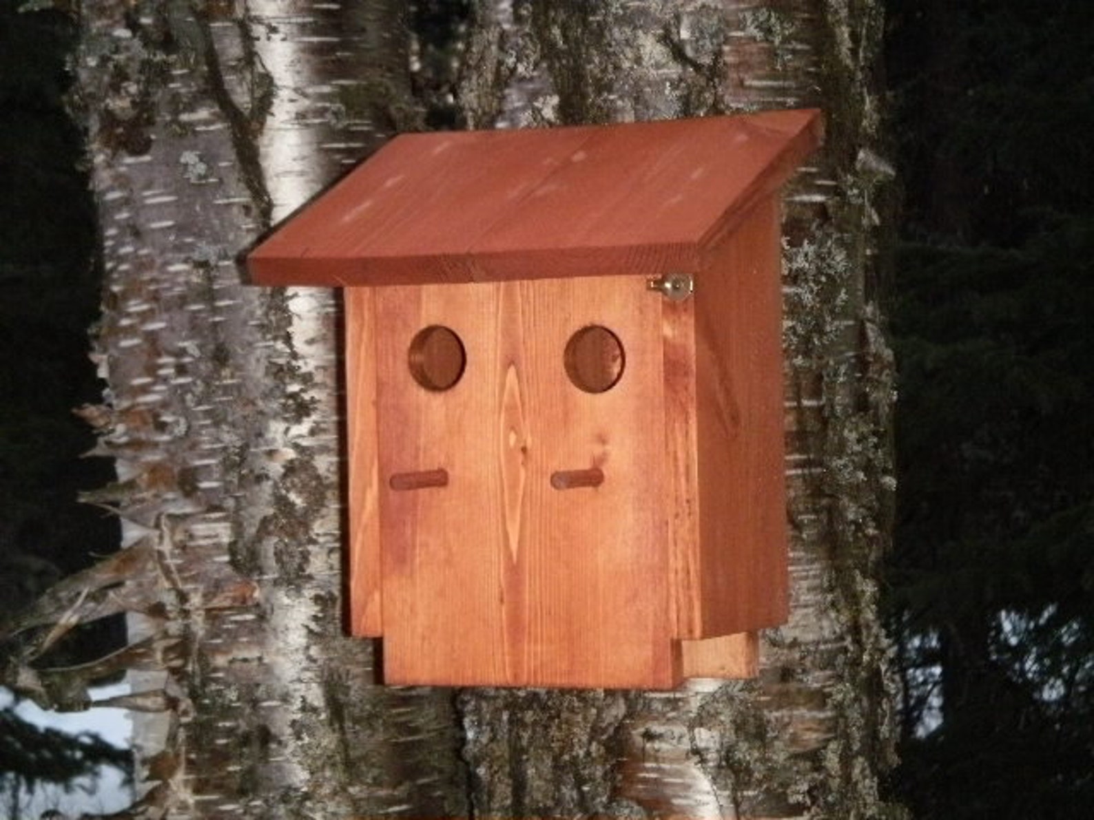 Two Unit Birdhouse Plans, Birdhouse Plans, DIY Birdhouse, Birdhouse ...