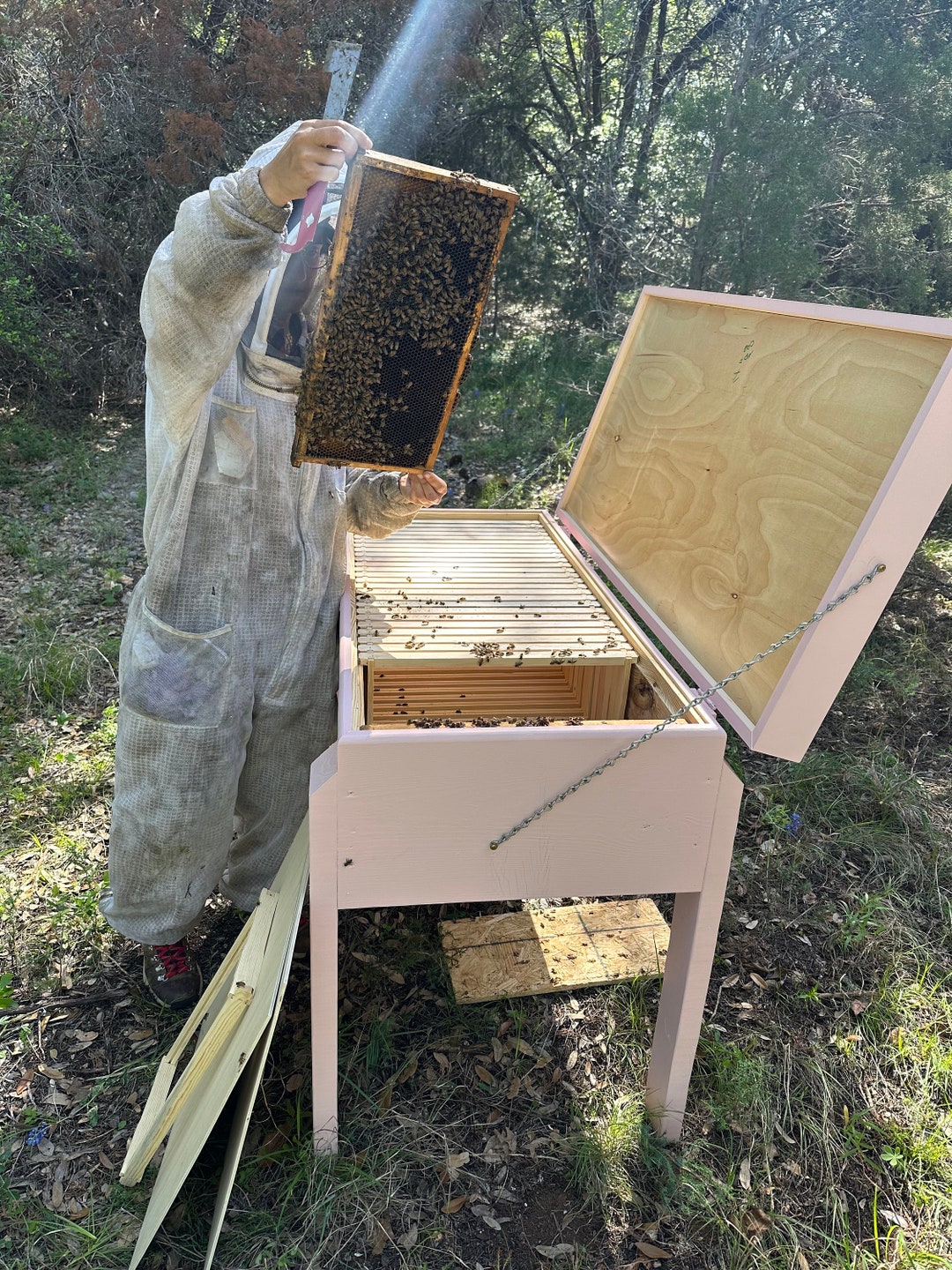 Long Langstroth Hives Customizable Finish - Etsy